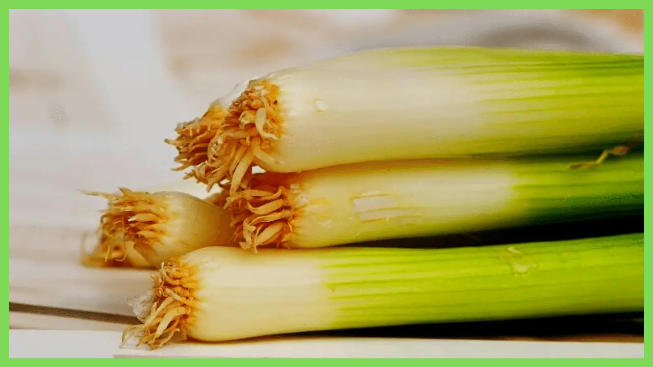 14 Store-Bought Vegetables and Herbs You Can Regrow in your Kitchen ...