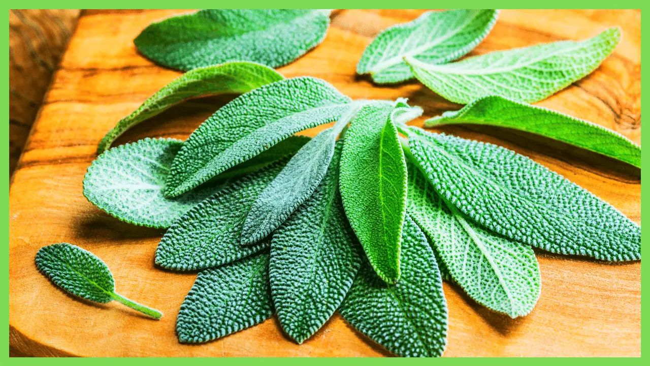 14 Store-Bought Vegetables and Herbs You Can Regrow in your Kitchen ...