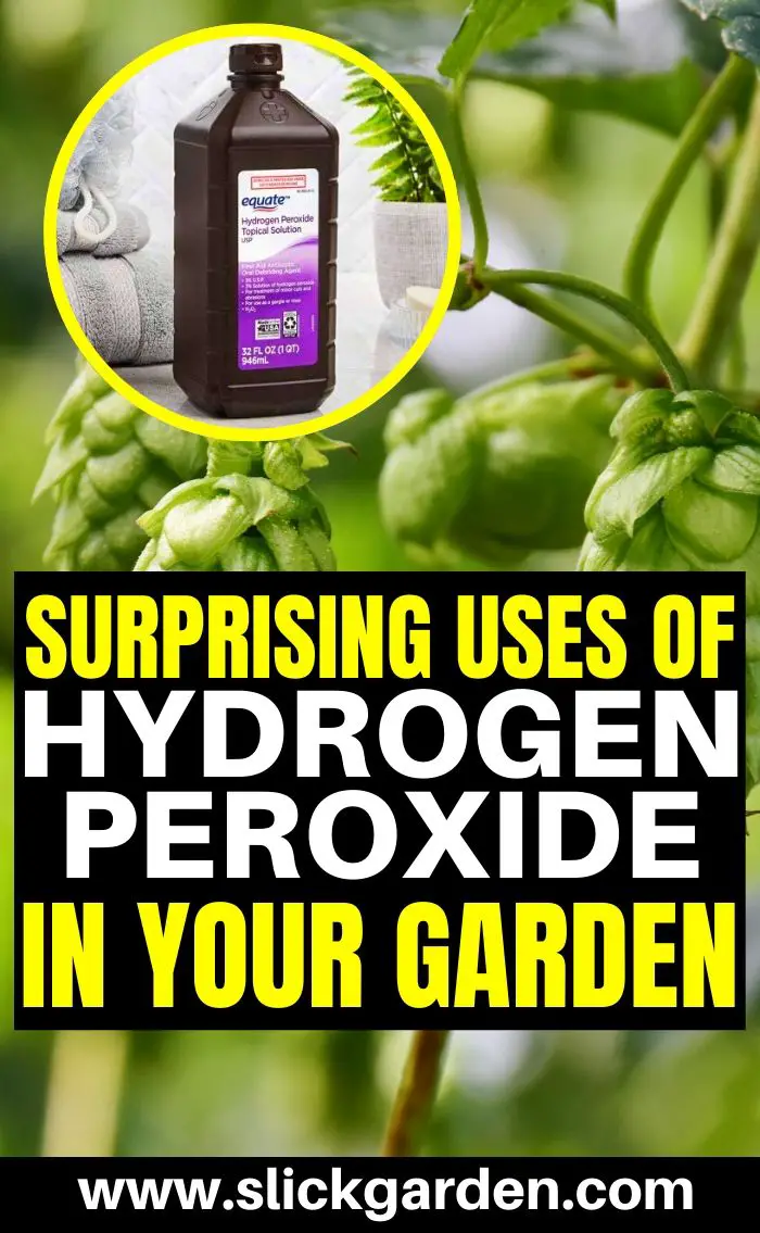 10 Surprising Uses Of Hydrogen Peroxide In Your Garden – Slick Garden